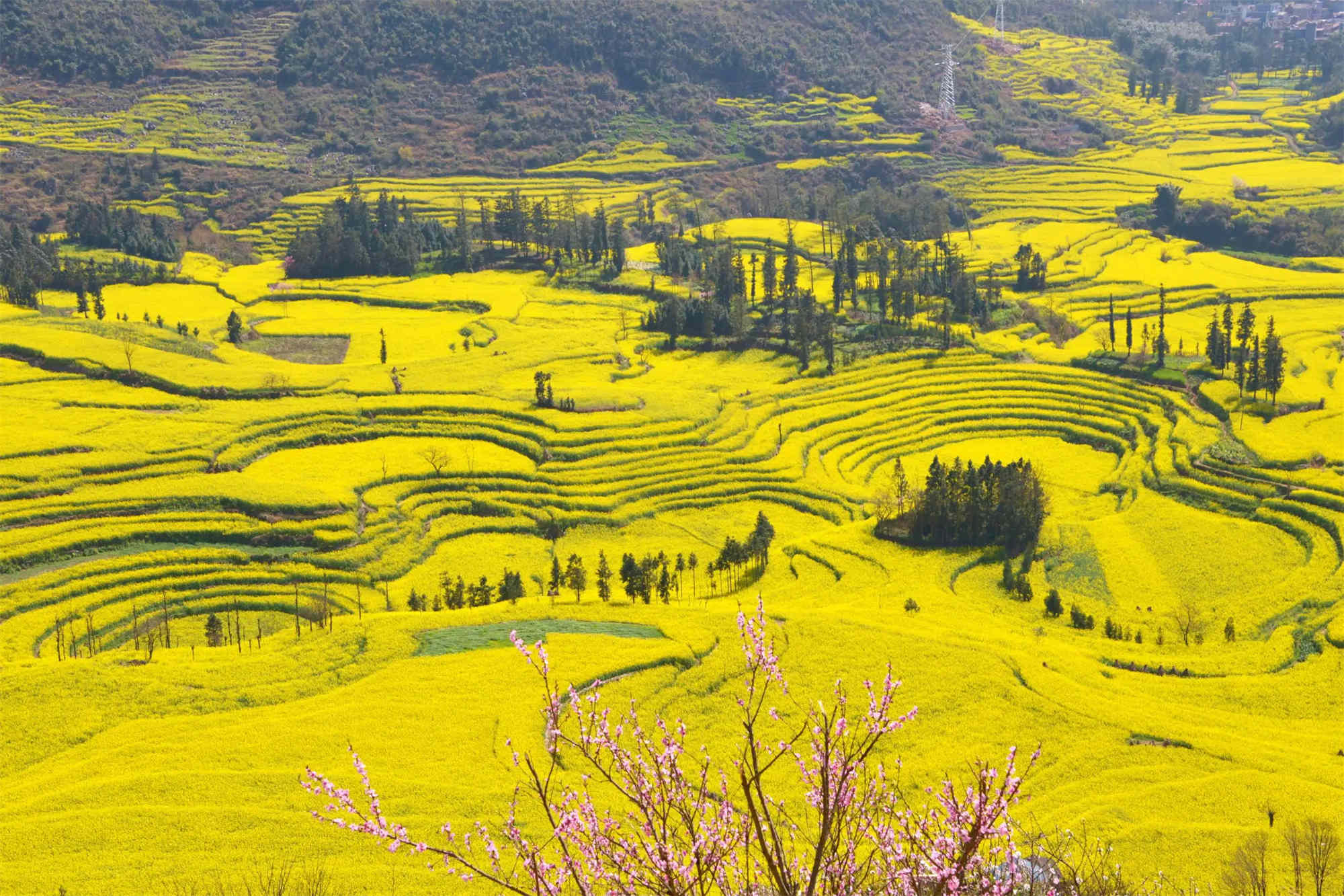 7-Day Colorful Yunnan Private Tour of Lijiang, Dali and Shangri-La ...