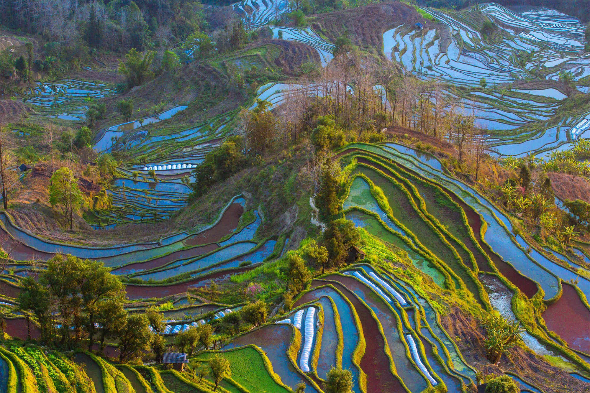 7-Day Colorful Yunnan Private Tour of Lijiang and Shangri-La with Tiger ...