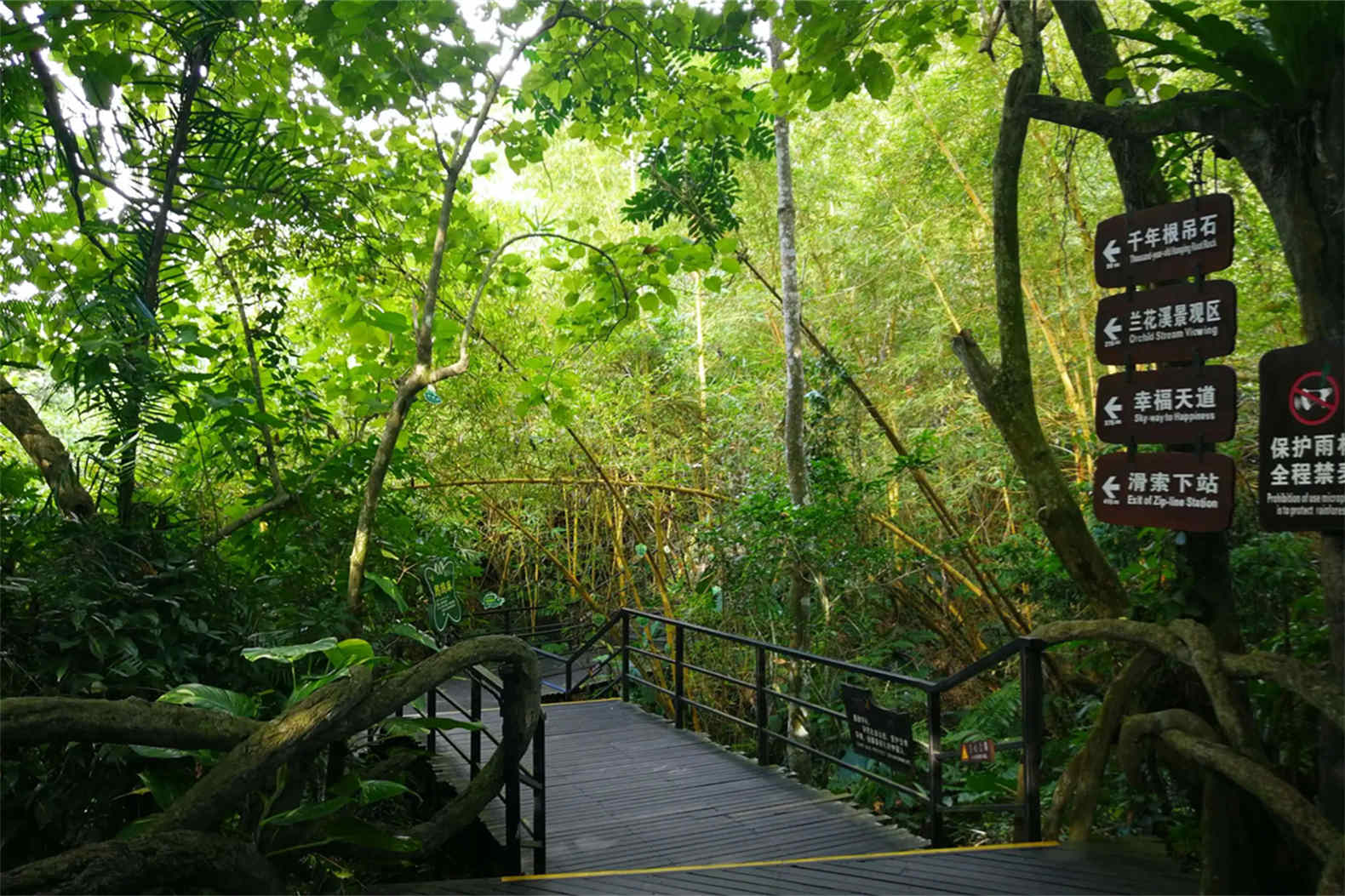 5-Day Sanya Private Tour of Nanshan Temple, West Island, Yanoda ...