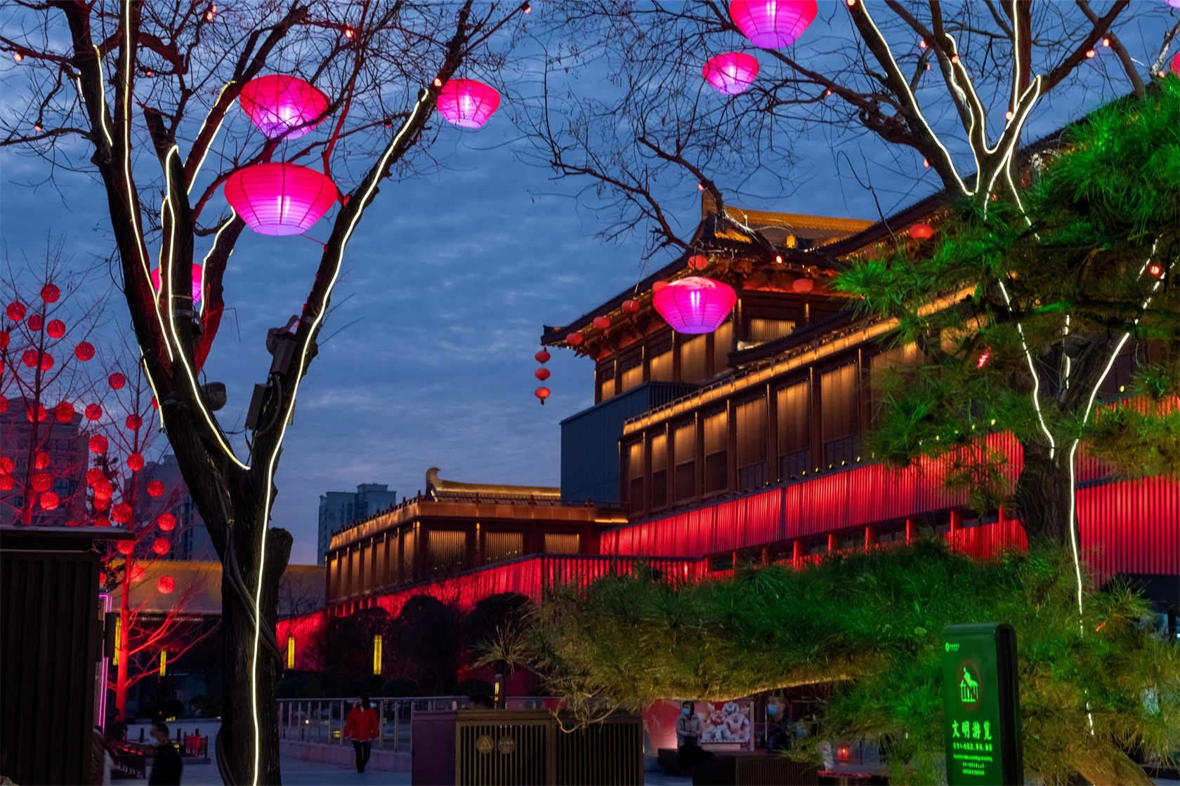 Xi’an Private In-depth Day Tour including Shaanxi History Museum, Big ...