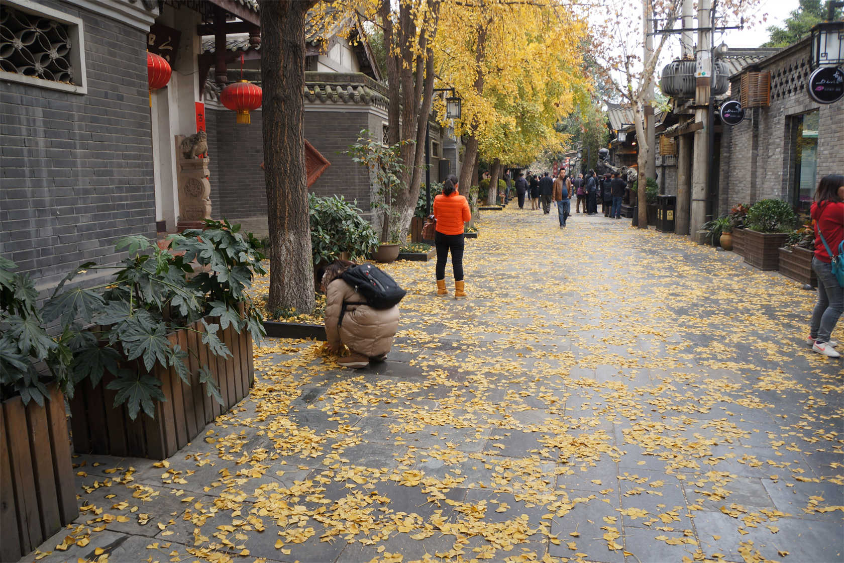 4-Day Chengdu+Chongqing In-depth Private Tour to Panda Base, Jinli ...